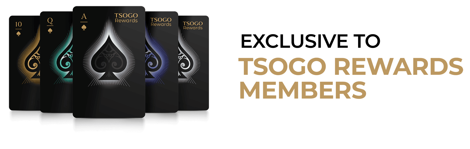 GAS Motor Show is coming to Suncoast!